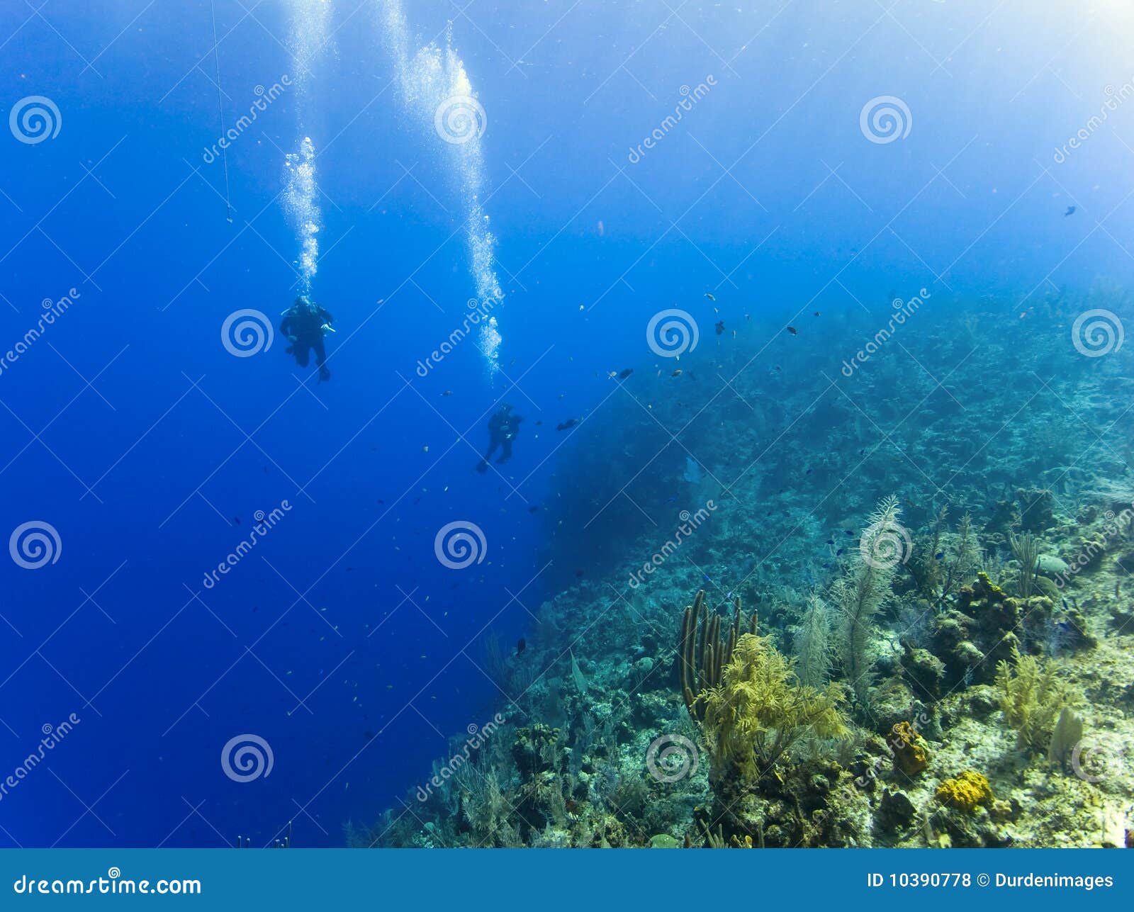 Scuba Diving Over a 6000ft Abyss Stock Photo - Image of reef, sports ...