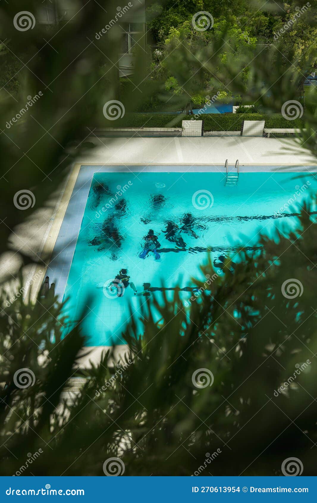 Scuba Diving Pool Section Class Stock Photo - Image of class, glass ...