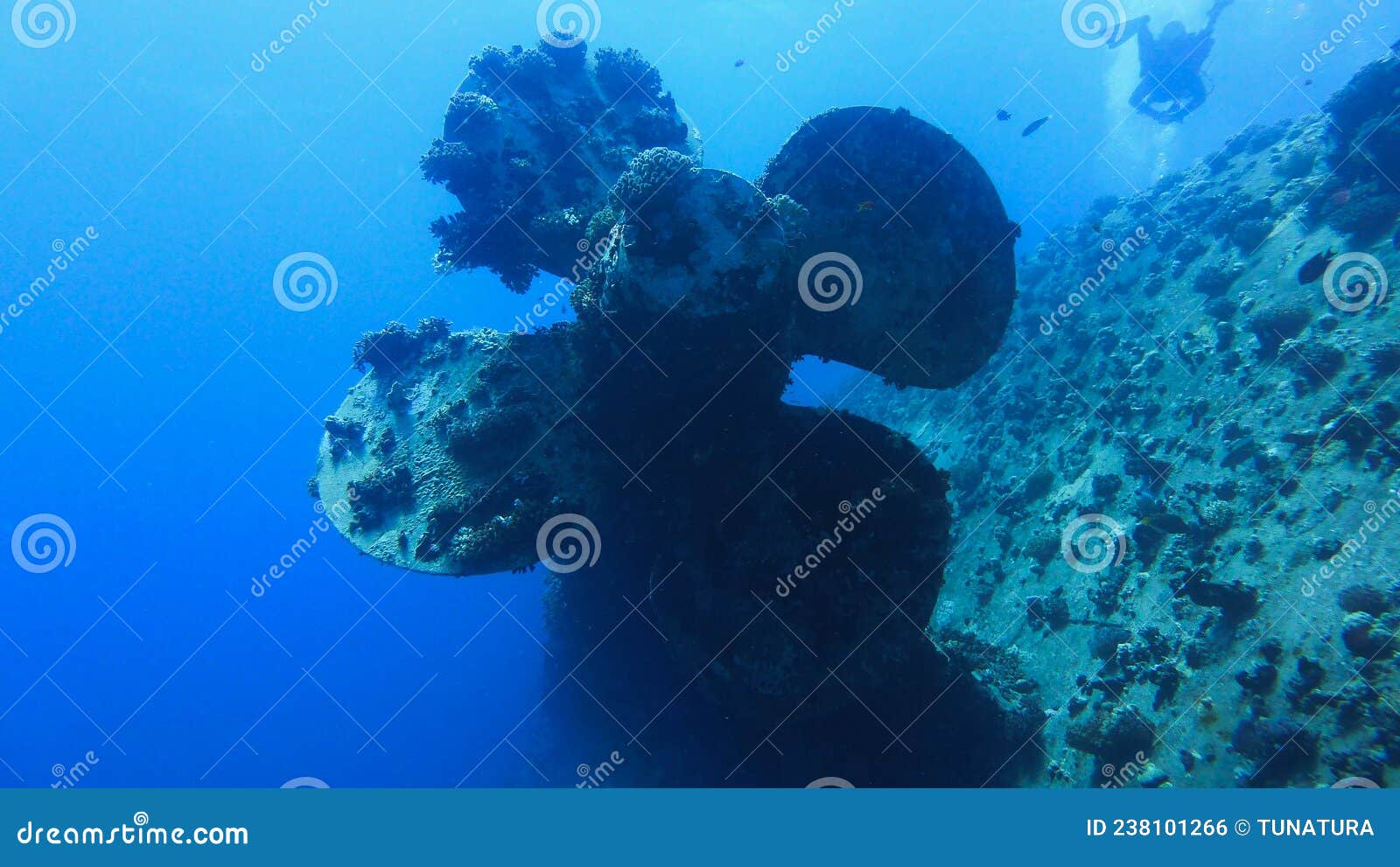 Scuba Diving at Ship Wreck Propeller in Blue Deep Water, Man Diver on ...