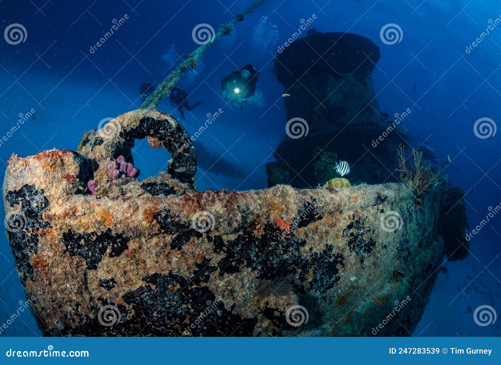Scuba Duikt Af Van Het Nederlandse Caribische Eiland Sint - Marten ... Scuba Duikt Af Van Het Nederlandse Caribische Eiland Sint - Marten ...