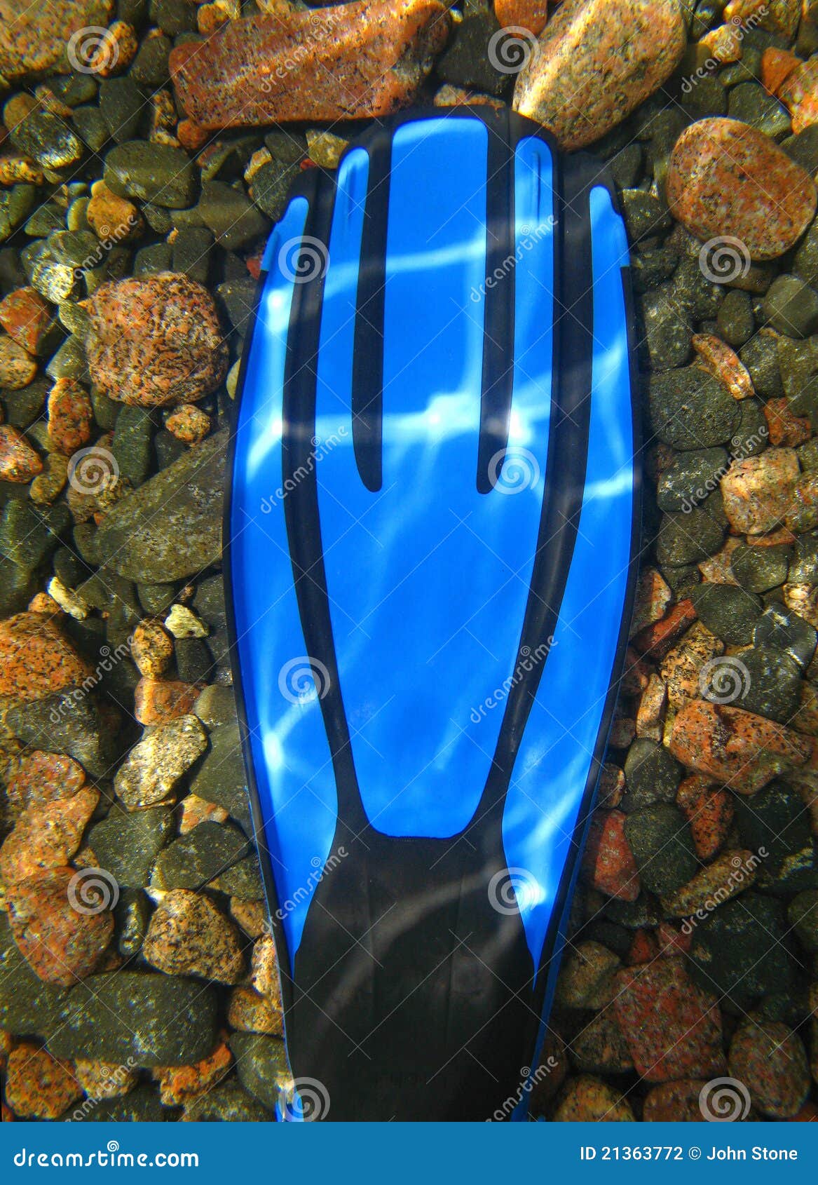 Scuba fin stock photo. Image of dive, adventure, scuba - 21363772
