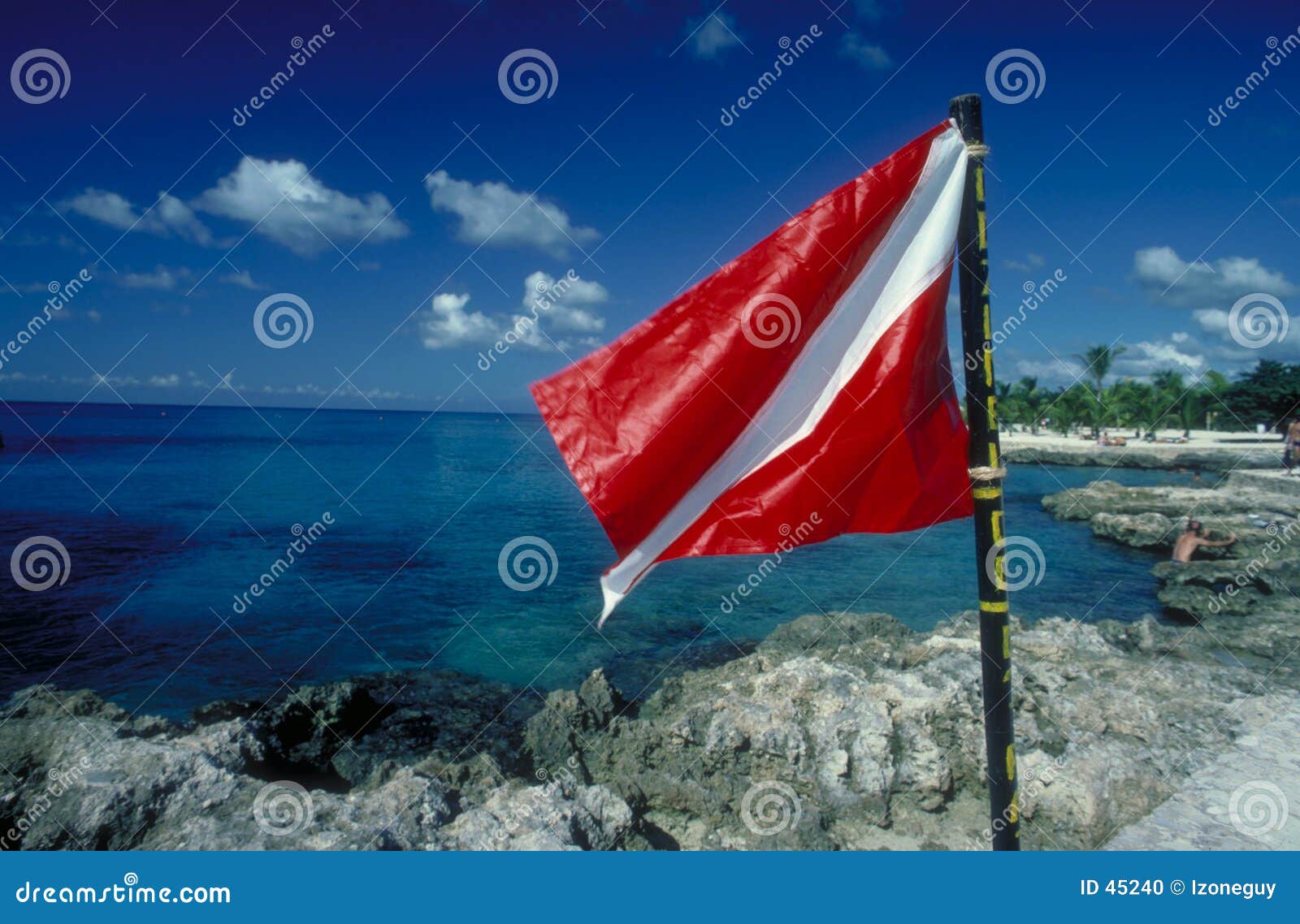 Scuba Flag stock photo. Image of ocean, sport, notify, diving - 45240
