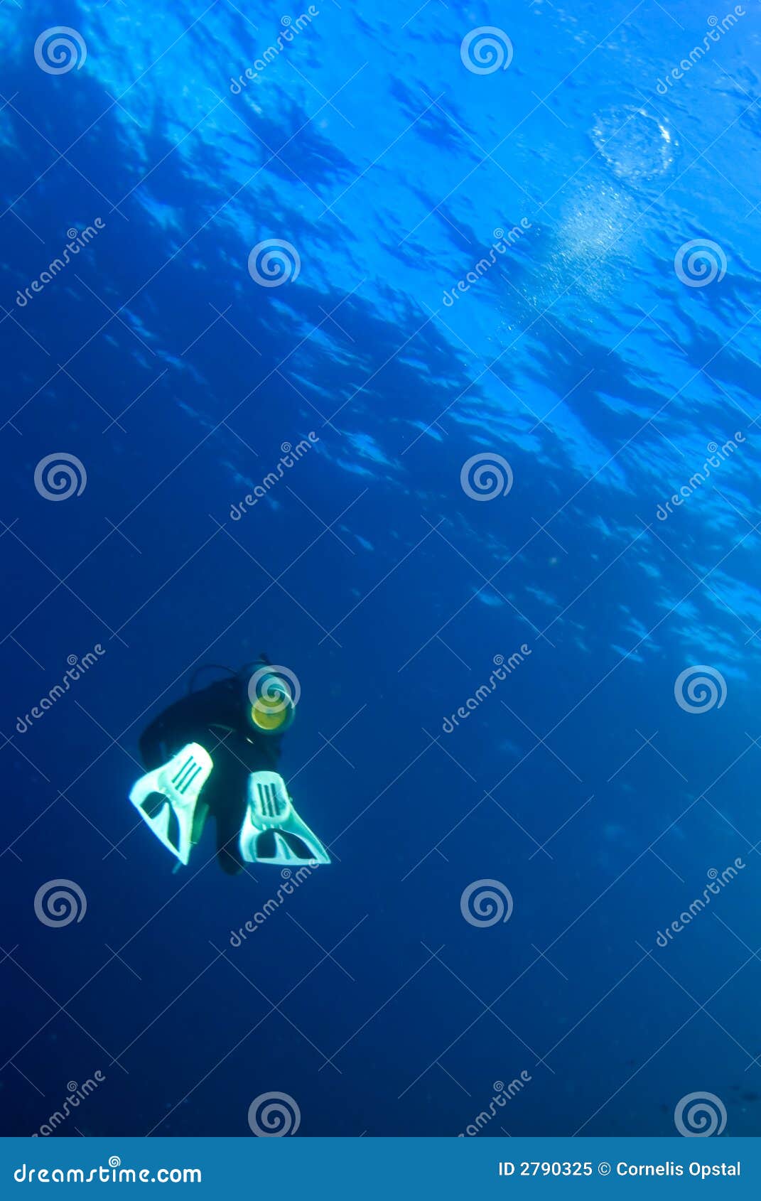 Scubadiver with air bubble stock image. Image of person - 2790325