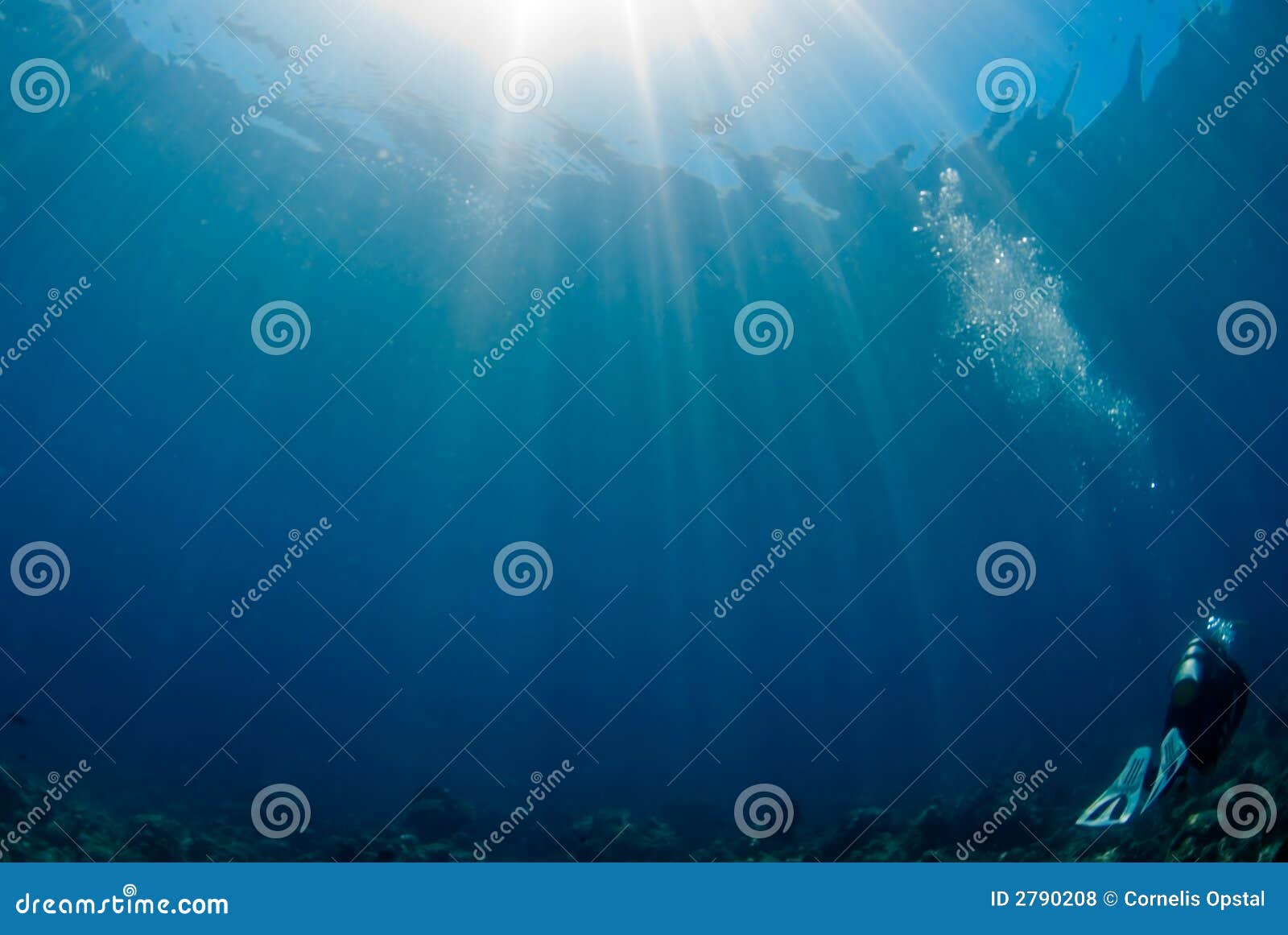 Scubadiver with bubbles stock photo. Image of tropical - 2790208