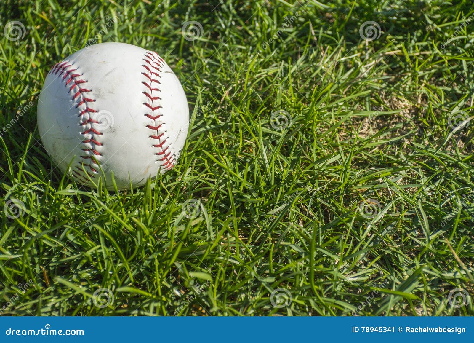 Scuffed Baseball on Grass stock image. Image of closeup - 78945341