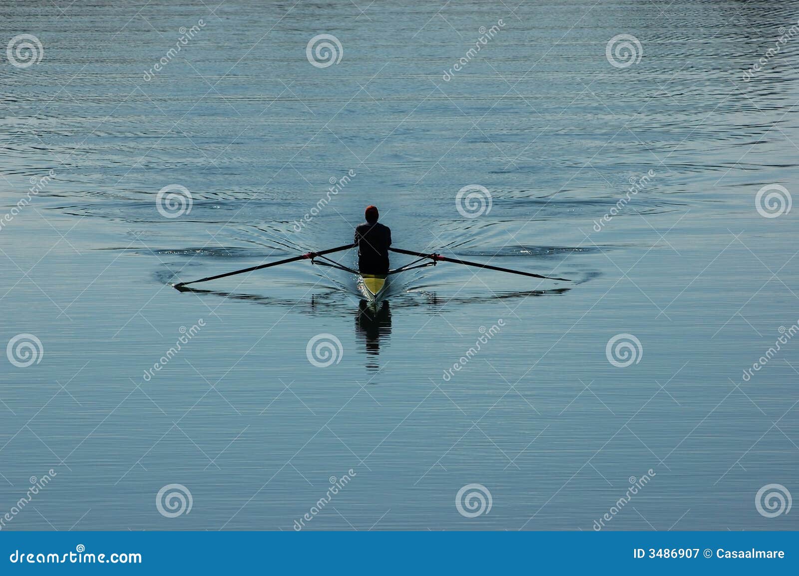Sculler stock image. Image of water, sport, sculler, sculling - 3486907