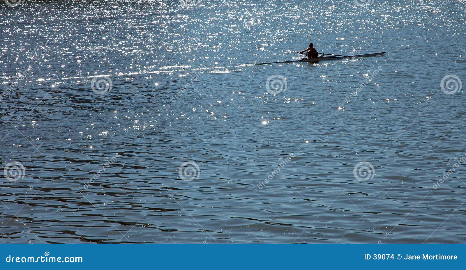 Sculler stock photo. Image of lakes, paddle, sparkles, knoxville - 39074