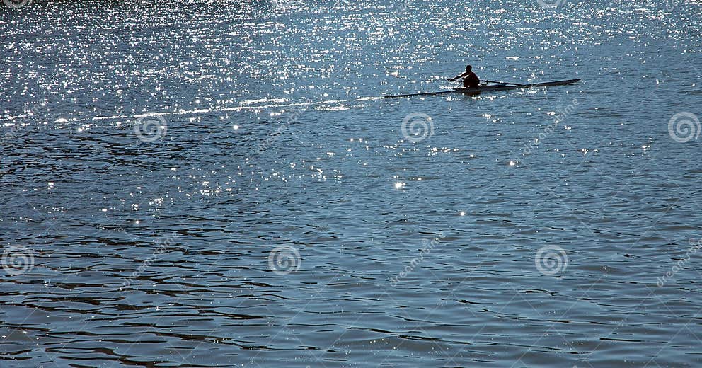 Sculler stock photo. Image of lakes, paddle, sparkles, knoxville - 39074