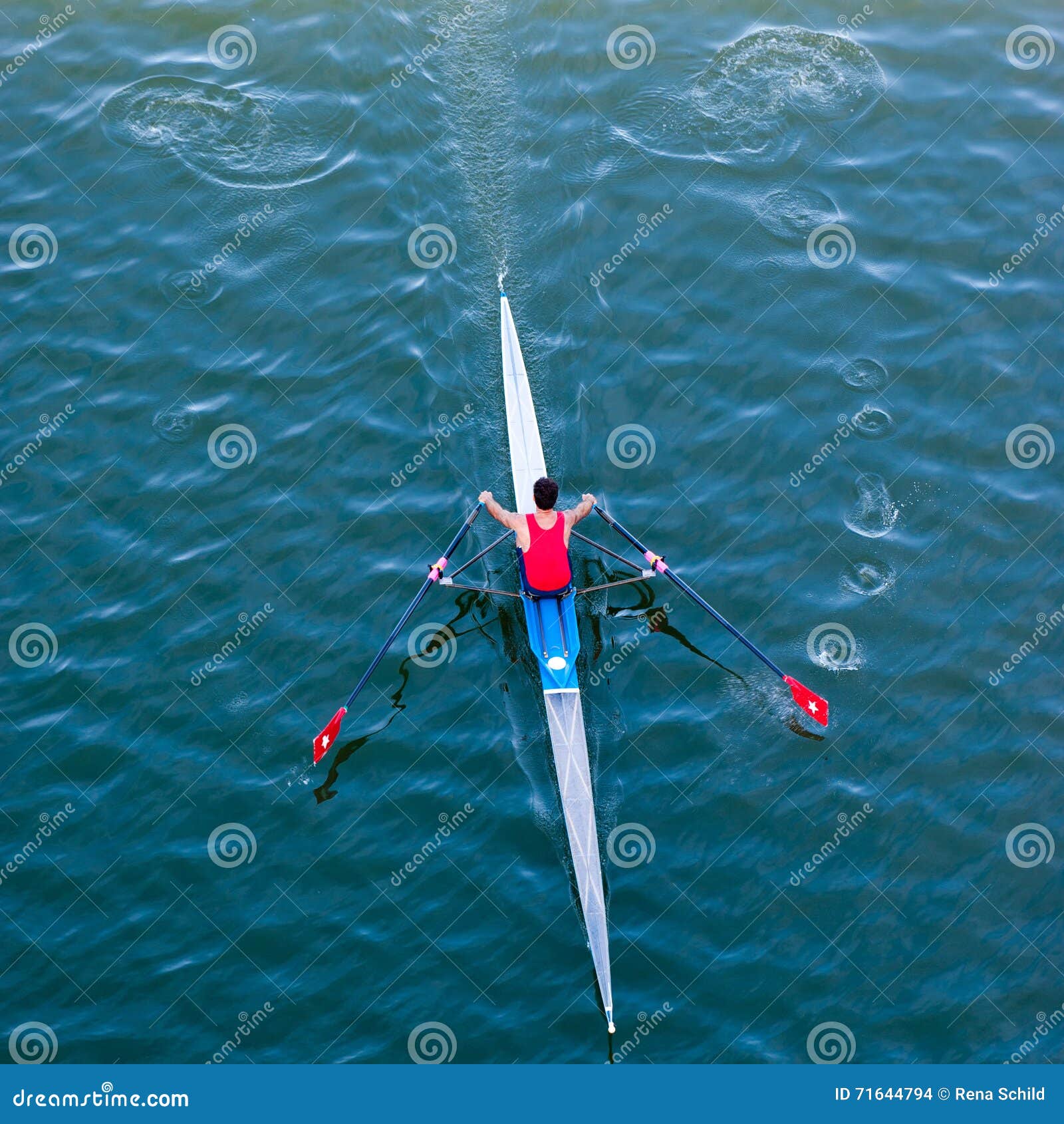 Sculler stock photo. Image of exercise, speed, motion - 71644794