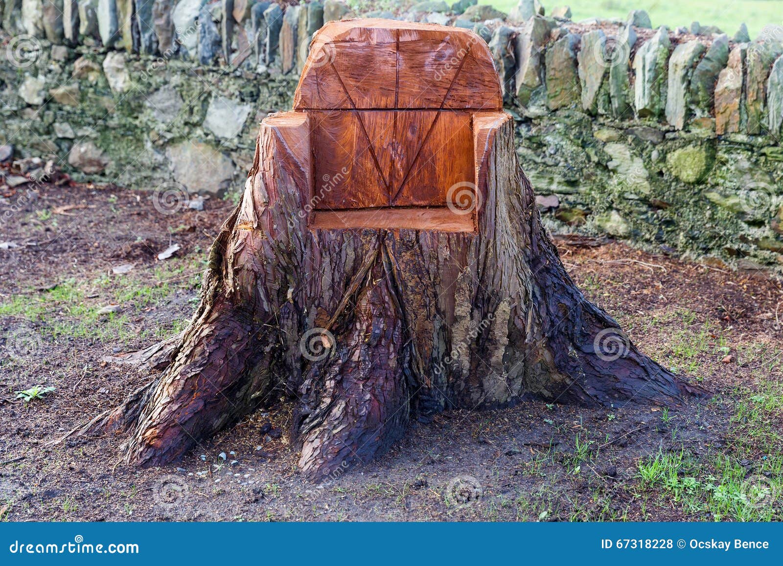 Sculpted Chair from a Tree Trunk Stock Photo - Image of public ...
