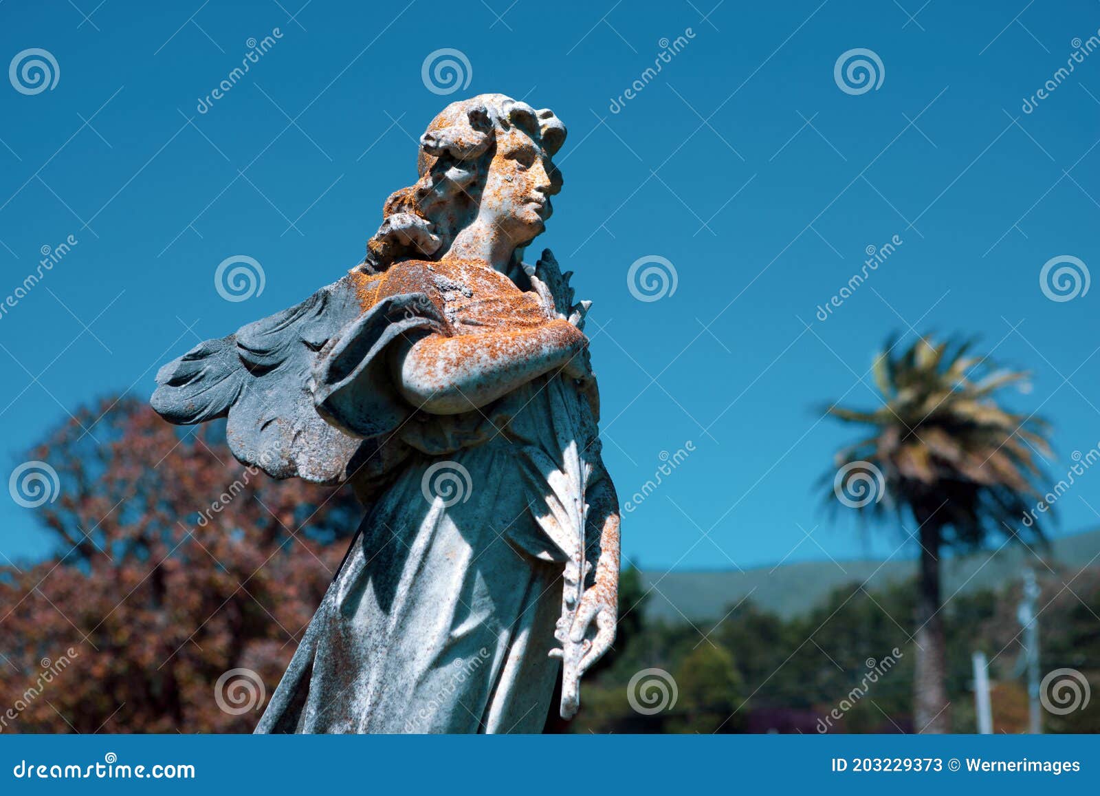 Sculpture of Angel with Palm Tree in the Background Stock Image - Image ...