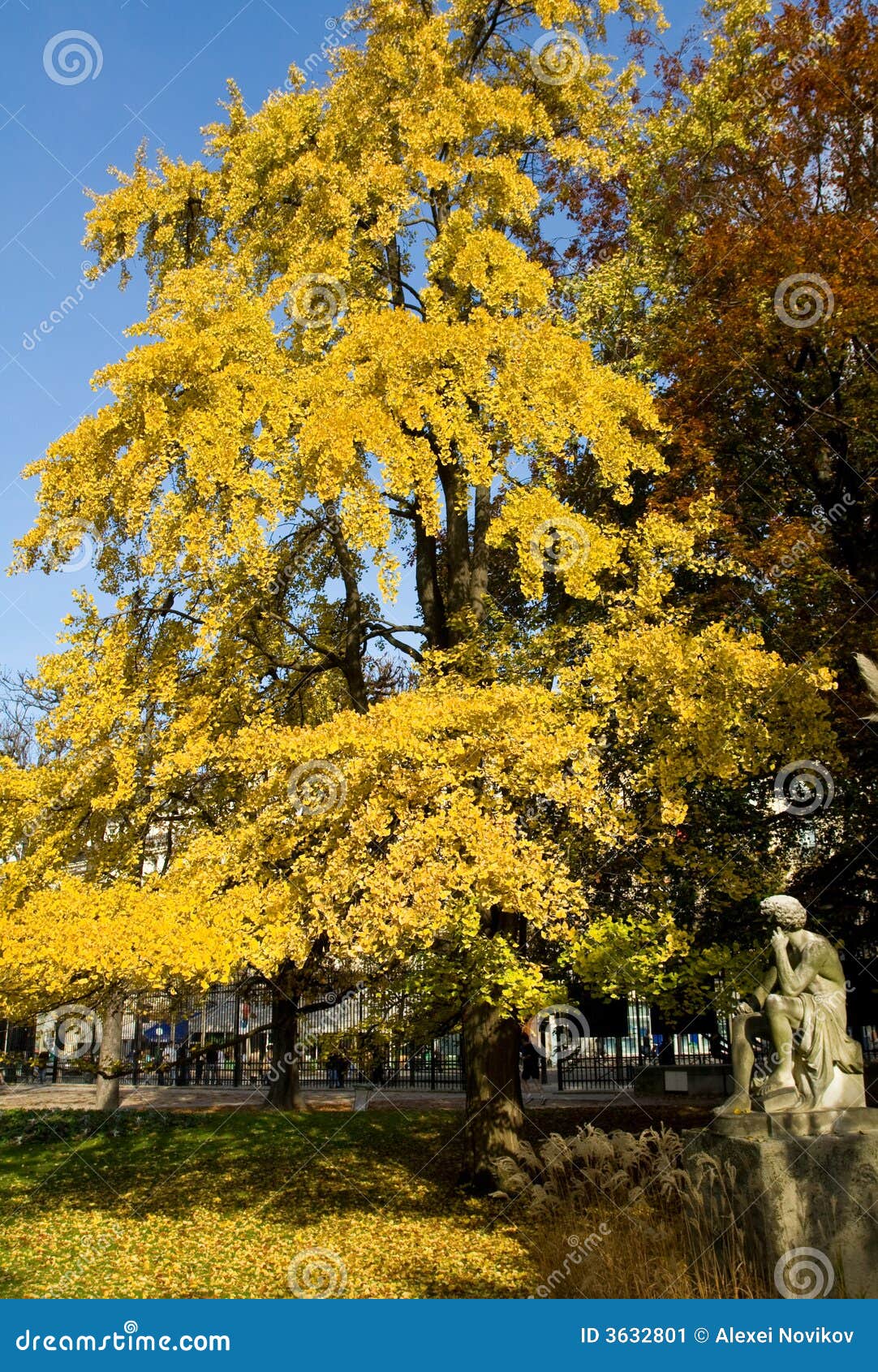 A Sculpture among Autumn-colored Trees Stock Image - Image of bright ...
