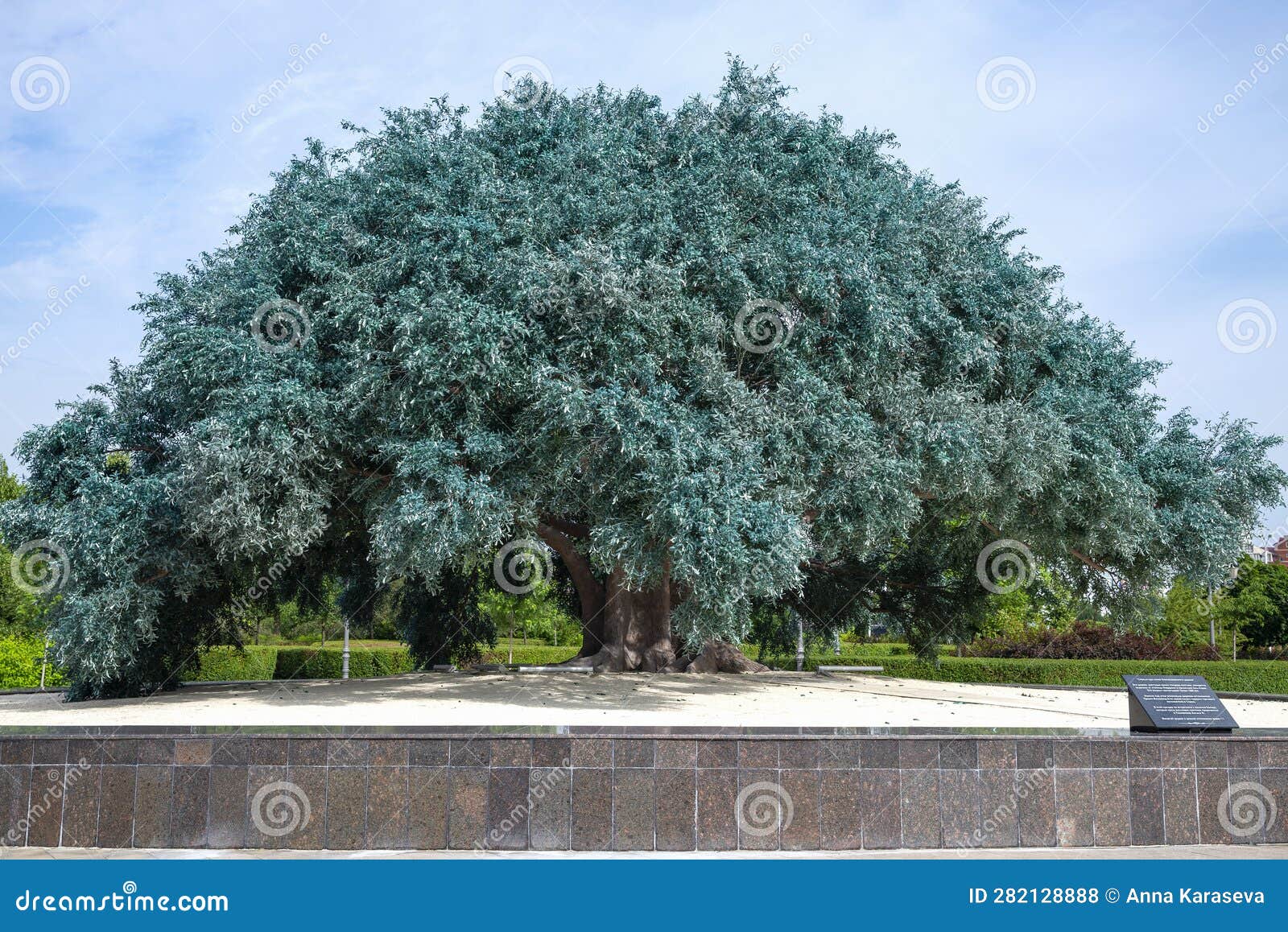Sculpture-copy of the Blessed Tree. Grozny, Chechen Republic Editorial ...