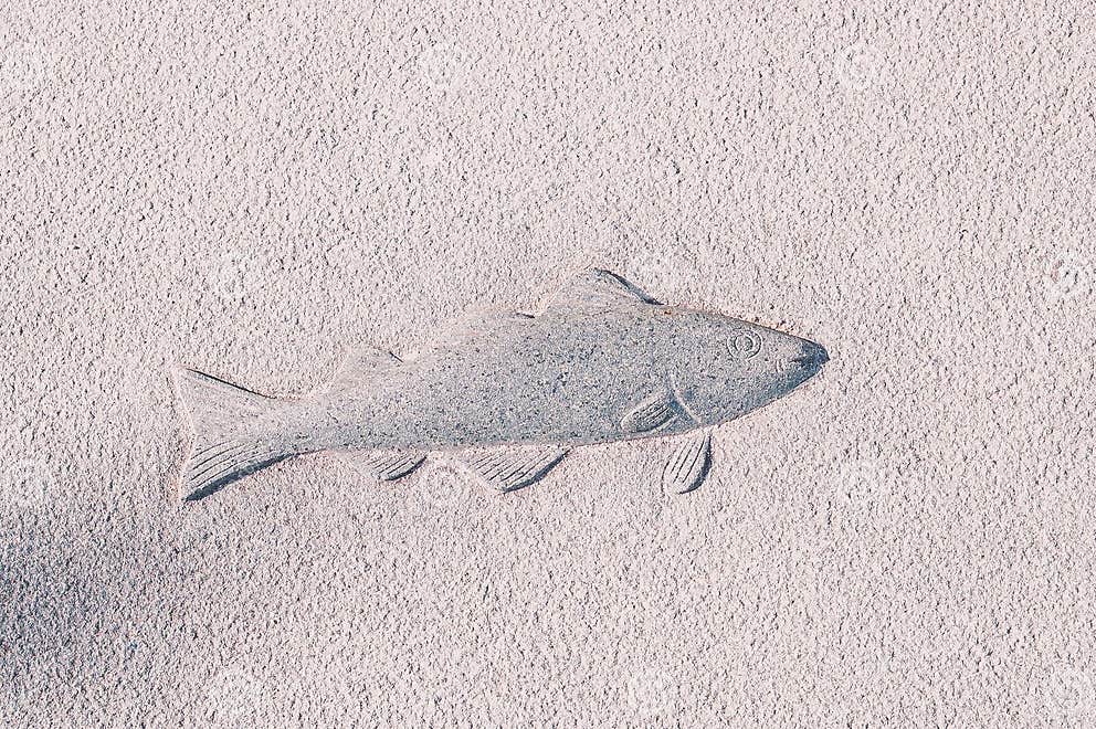 Texture Drawing Fish on a Concrete Wall Stock Photo - Image of material ...