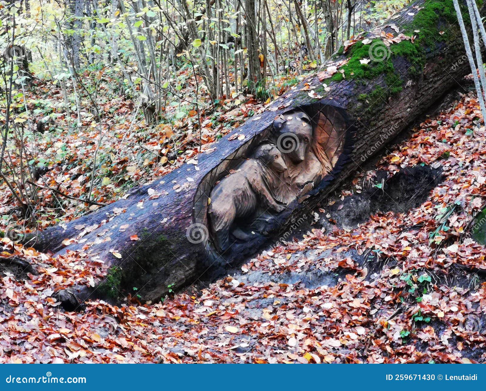 The Sculpture Inside a Tree Trunk Editorial Image - Image of brown ...