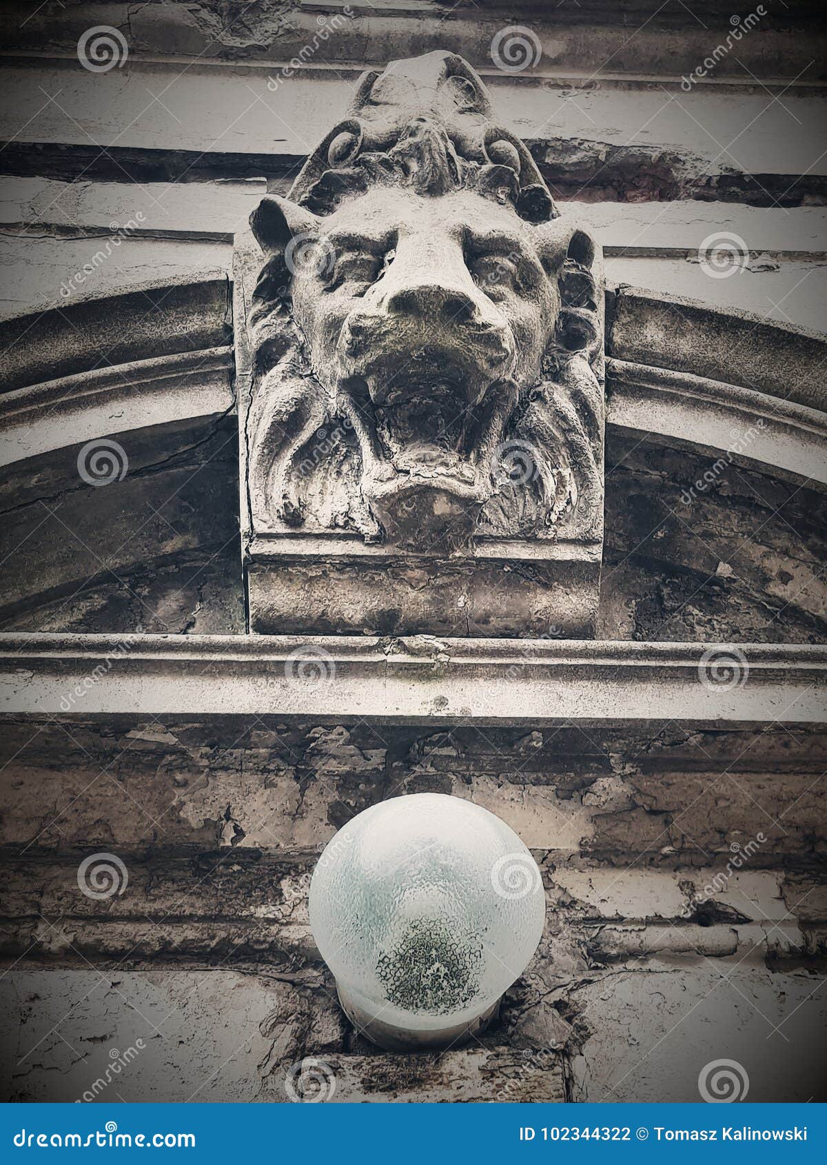A sculpture of a lion stock photo. Image of ancient - 102344322