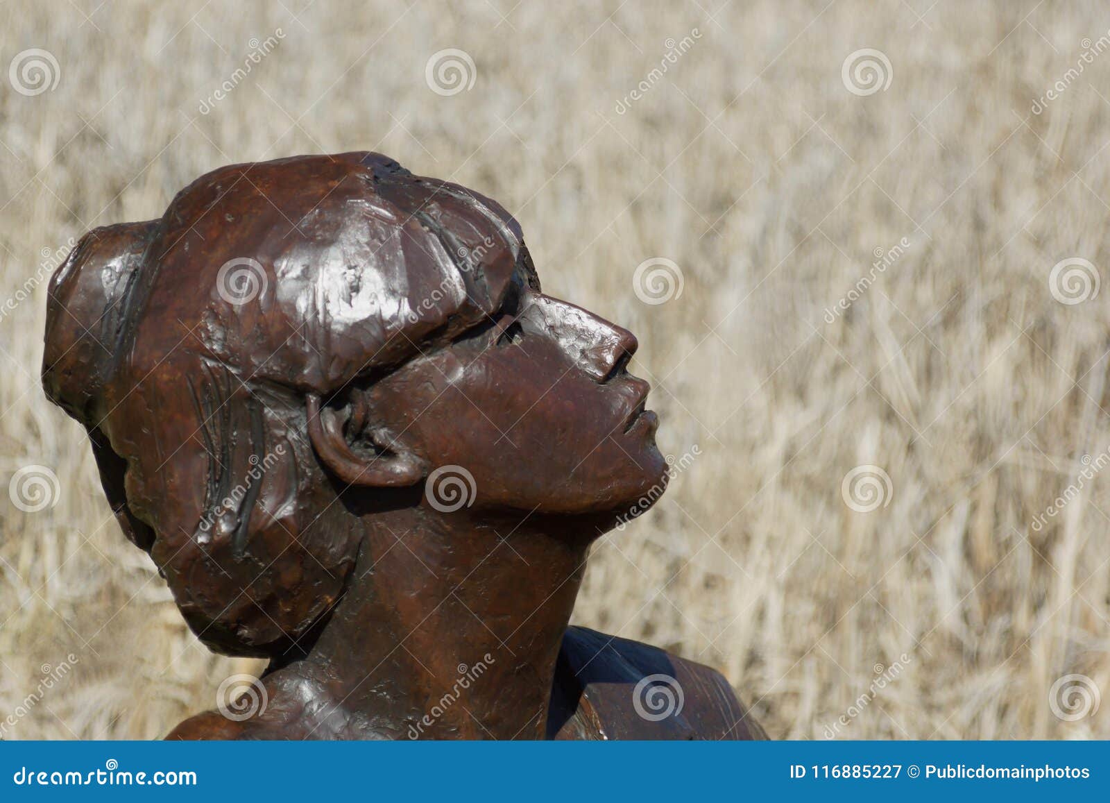 Sculpture, Metal, Statue, Bronze Sculpture Picture. Image: 116885227