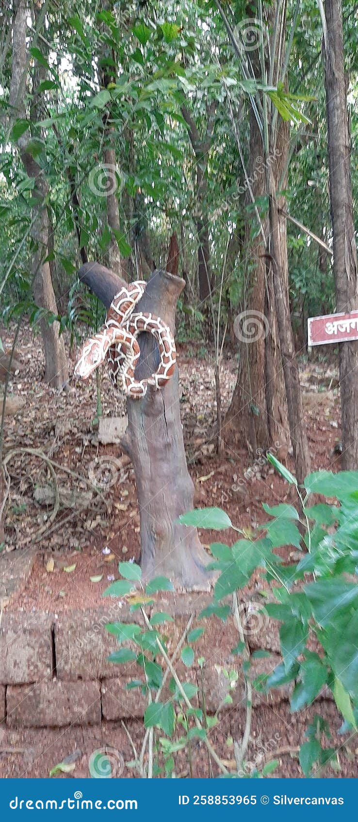 A Sculpture of Python in Amusement Park Stock Image - Image of trunk ...