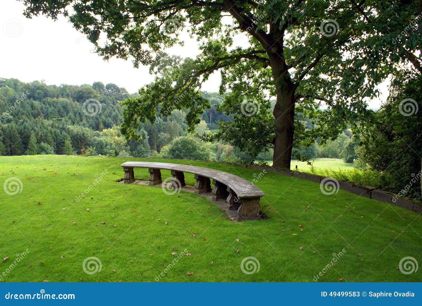 Sculptured Stone Seat in a Garden Stock Image - Image of peace, tree ...