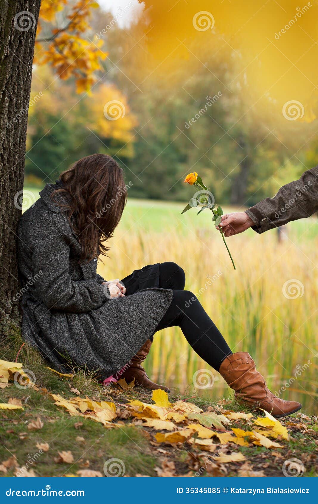 Scuse dopo il litigio immagine stock. Immagine di deludente - 35345085