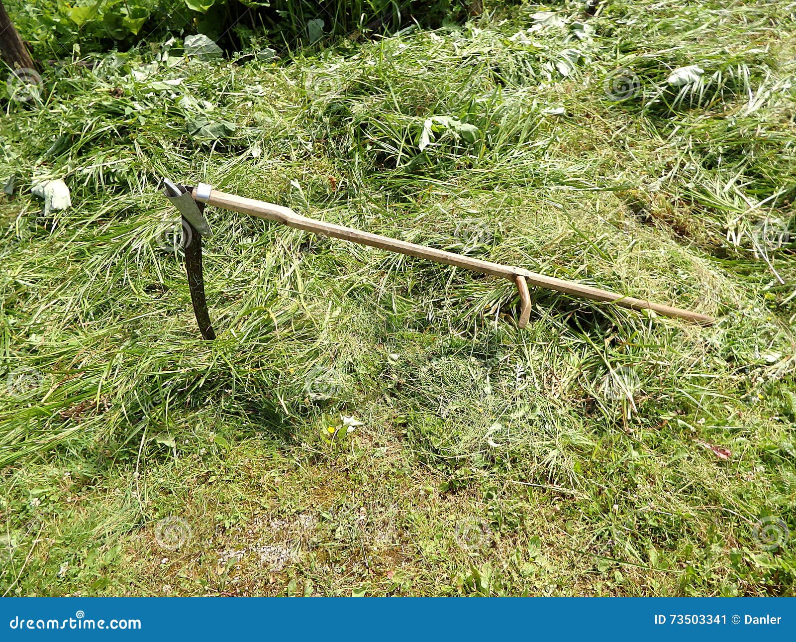 Scythe stock image. Image of instrument, working, crop - 73503341