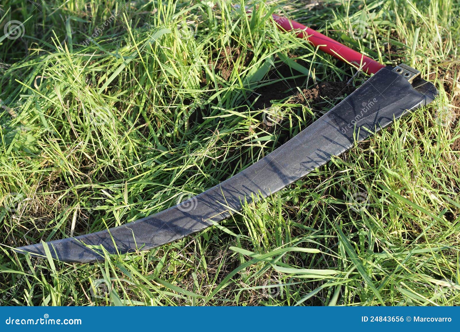 Scythe on grass stock photo. Image of closeup, outdoors - 24843656