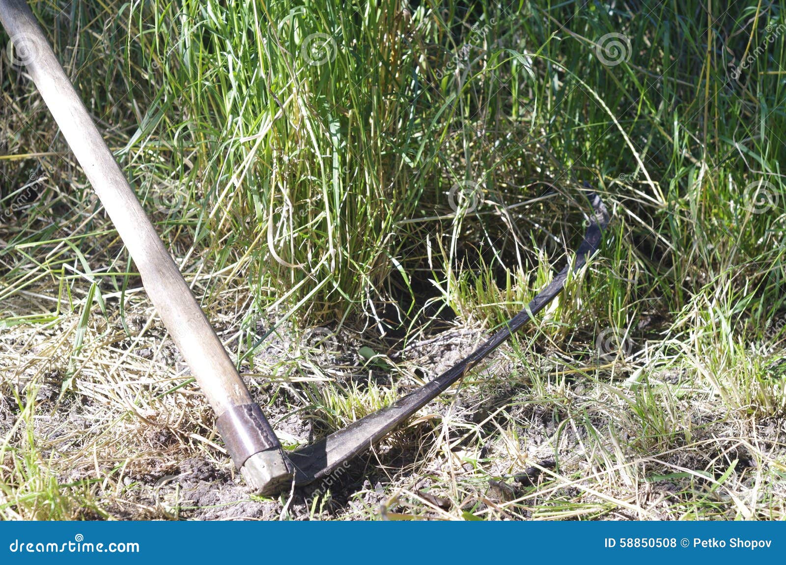 Scythe stock photo. Image of harvest, reap, high, curved - 58850508