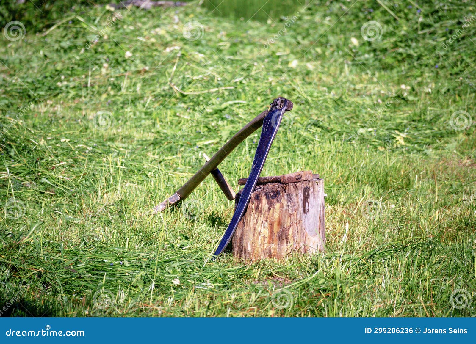A Scythe Leaning Against a Tree Stump with Cut Green Grass in the ...