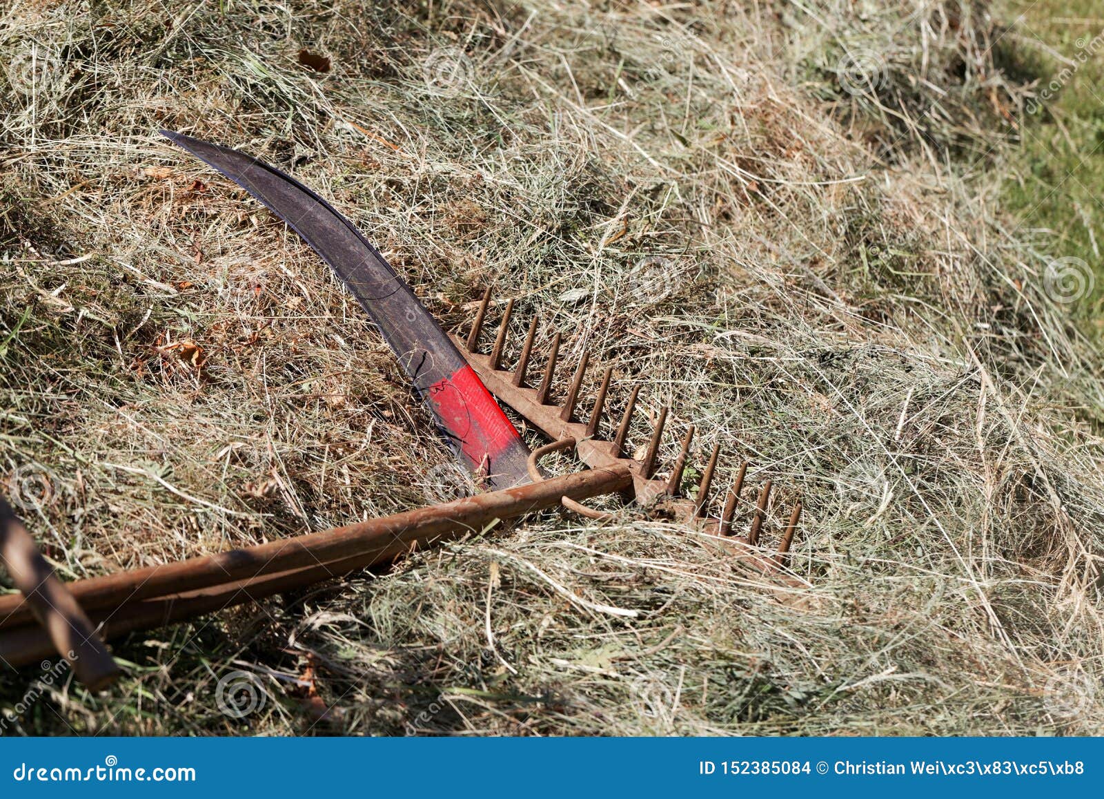 Scythe and Rake in Fresh Mowed Hay Stock Photo - Image of green ...