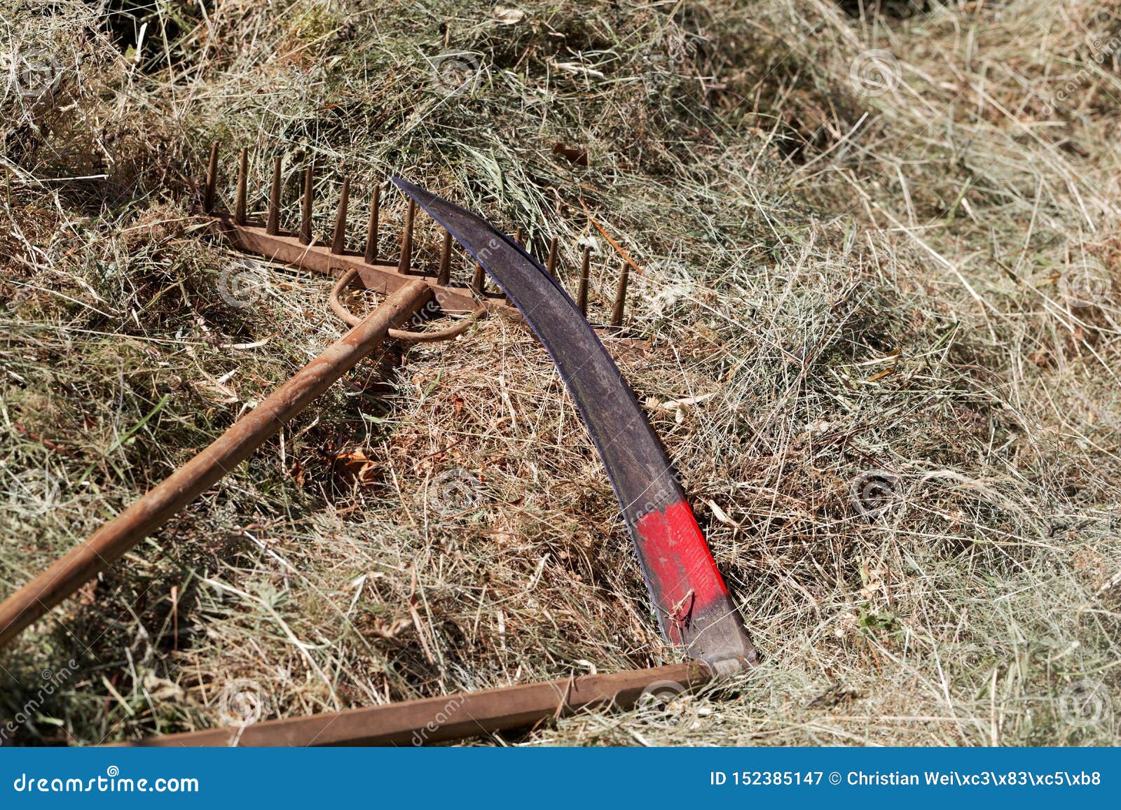 Scythe and Rake in Fresh Mowed Hay Stock Image - Image of nature ...