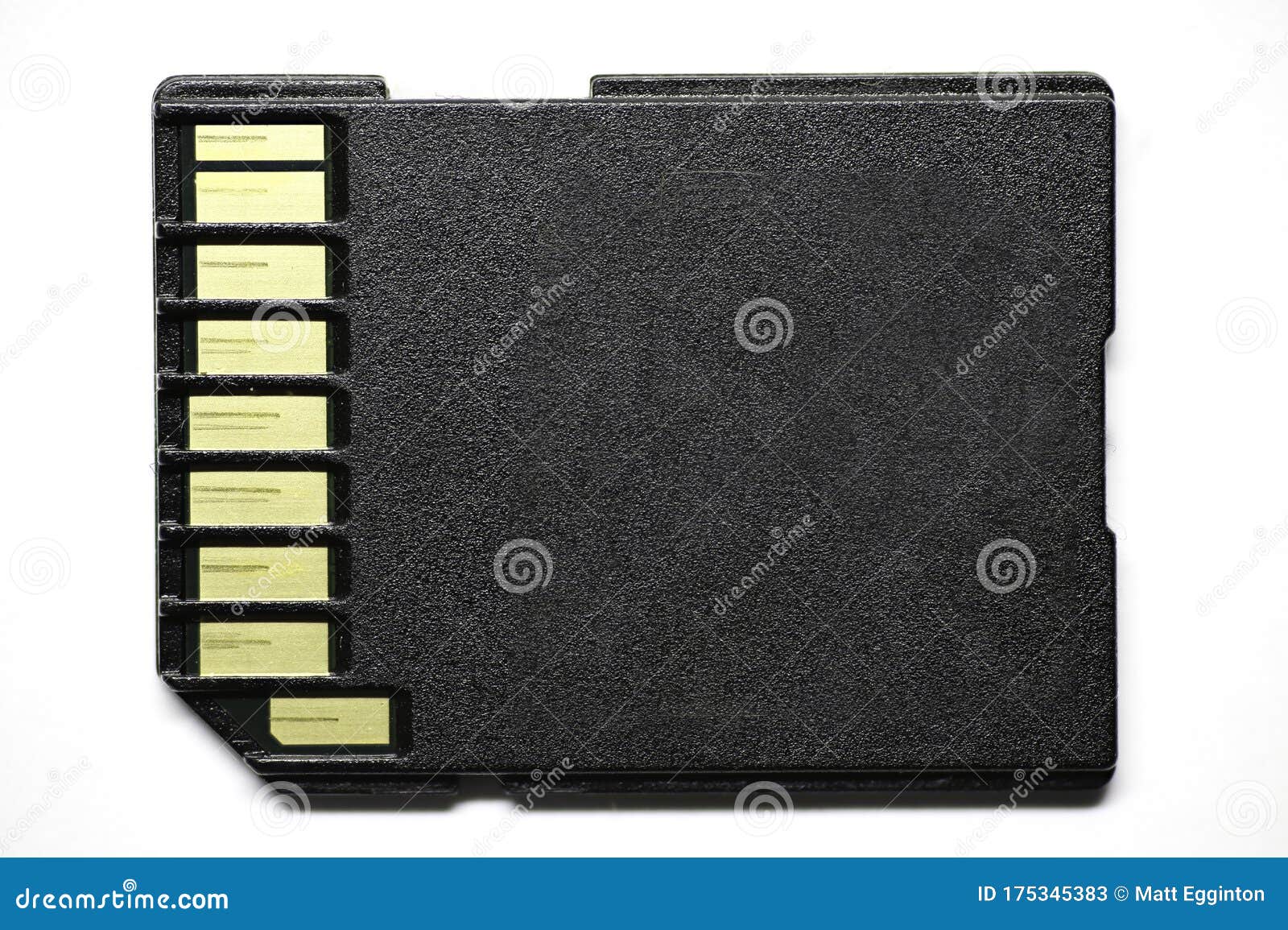 SD card back stock image. Image of compact, white, digital - 175345383