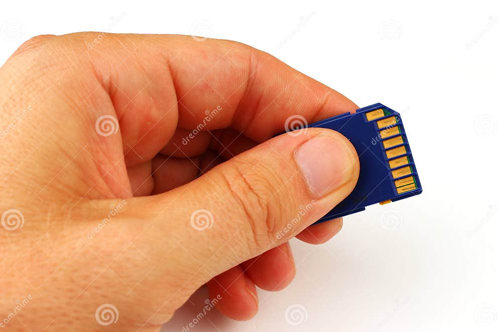 SD Card in Hand on a White Background Stock Image - Image of datum ...