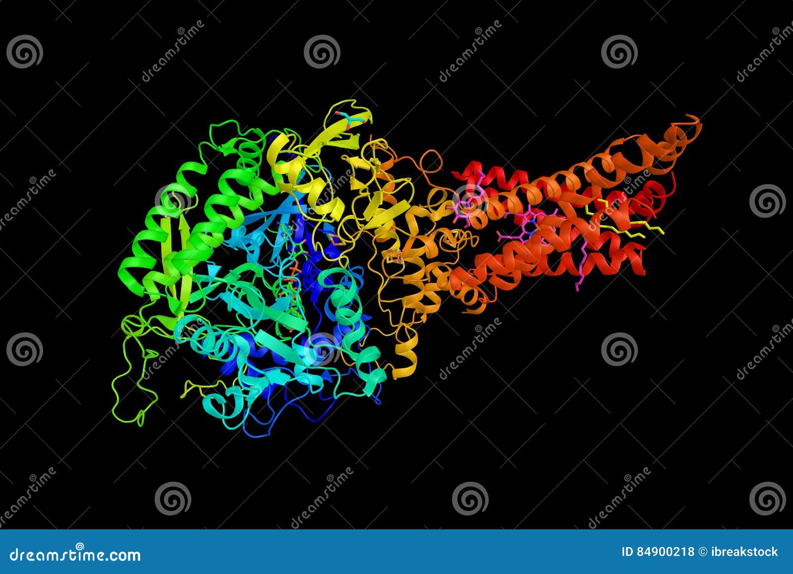 SDHB, a Protein Complex Which Catalyzes the Oxidation of Succinate. 3d ...