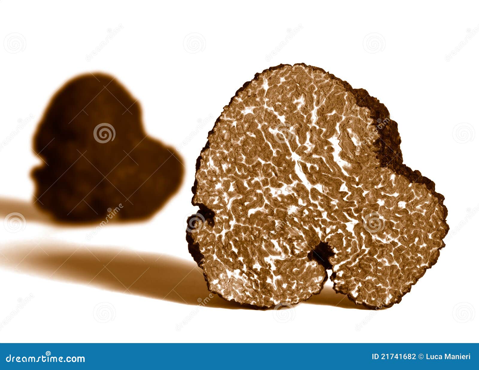 Seção da trufa preta foto de stock. Imagem de branco - 21741682