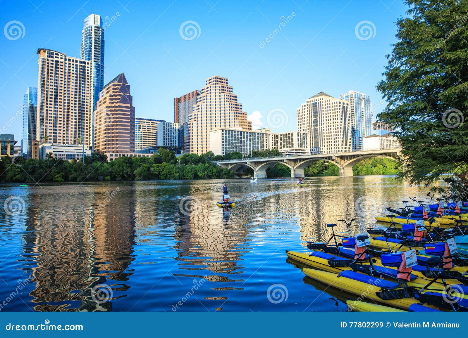 Señora Bird Lake Downtown, Austin, Tejas Imagen de archivo editorial ...