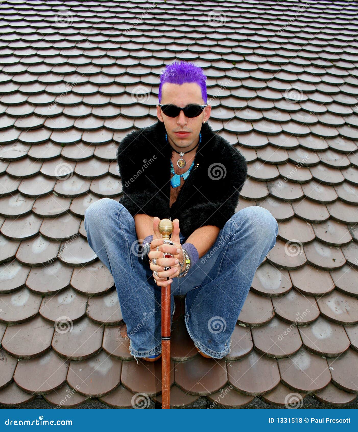 Se reposer sur le toit photo stock. Image du cheveu, glaces - 1331518