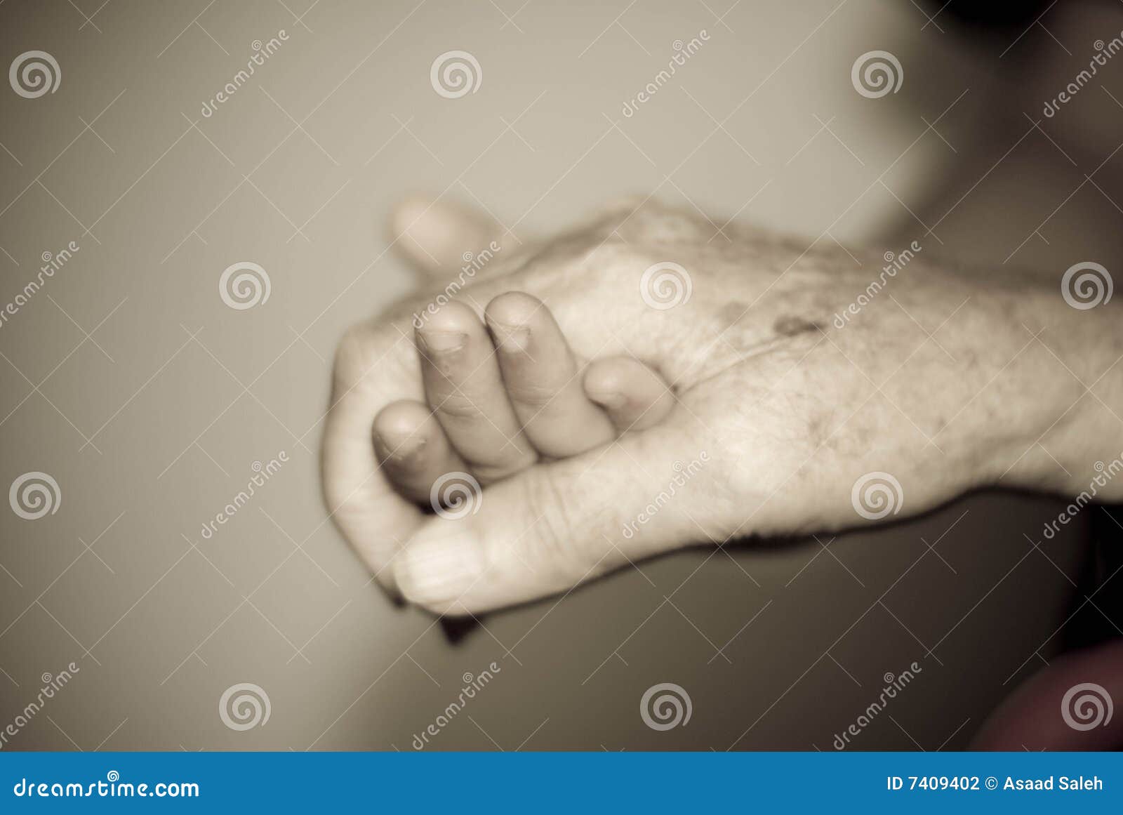 Se retenir de mains photo stock. Image du marche, portion - 7409402
