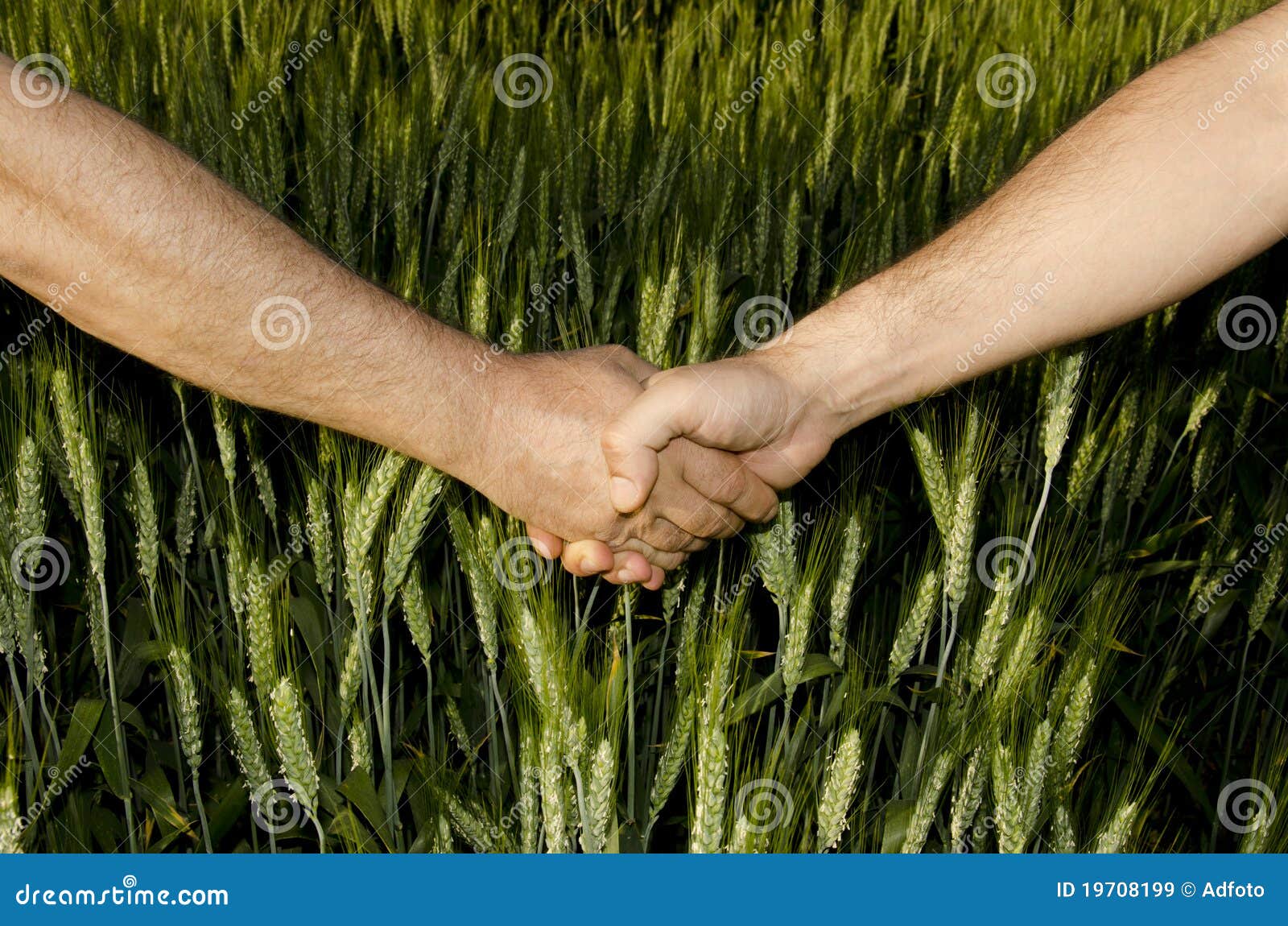 Se serrer la main image stock. Image du homme, businesspeople - 19708199