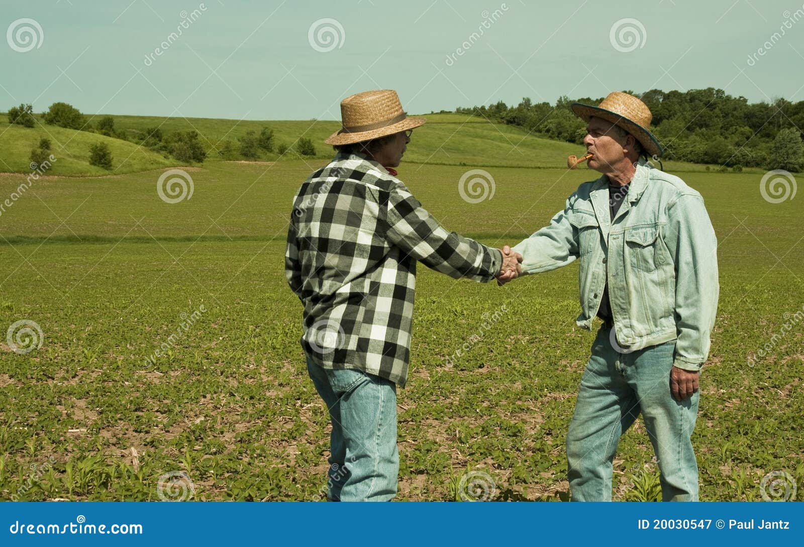 Se serrer la main image stock. Image du nature, salutation - 20030547