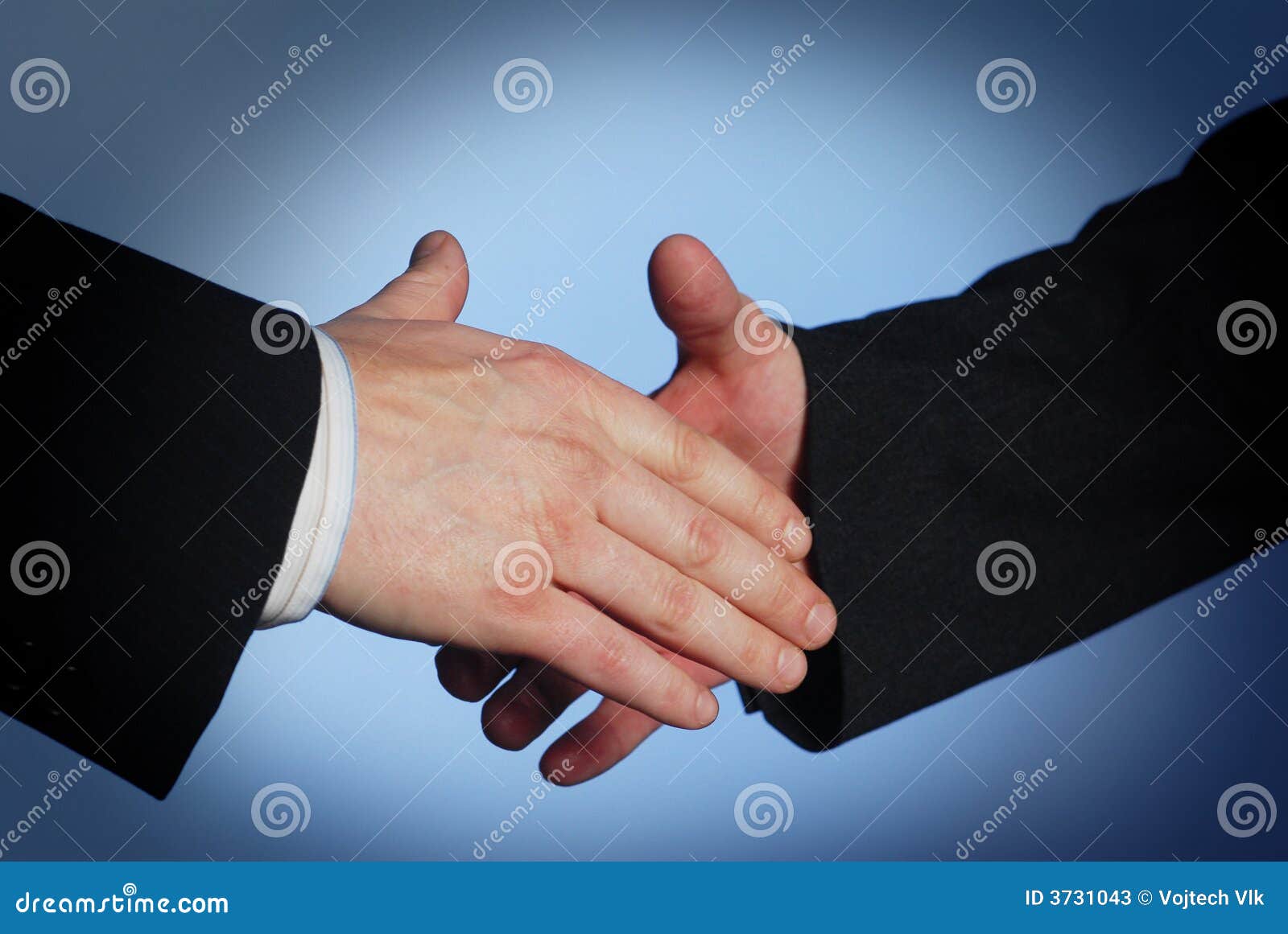 Se serrer la main image stock. Image du handshake, réussite - 3731043