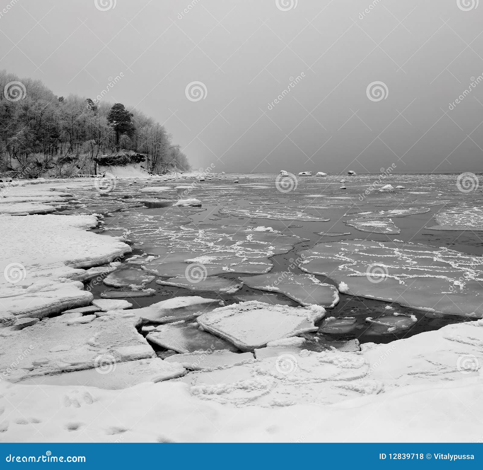 Sea stock photo. Image of snowy, landscape, cold, outdoors - 12839718