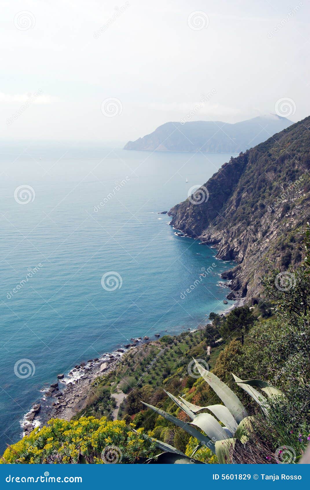Sea stock image. Image of coast, color, liguria, cliff - 5601829