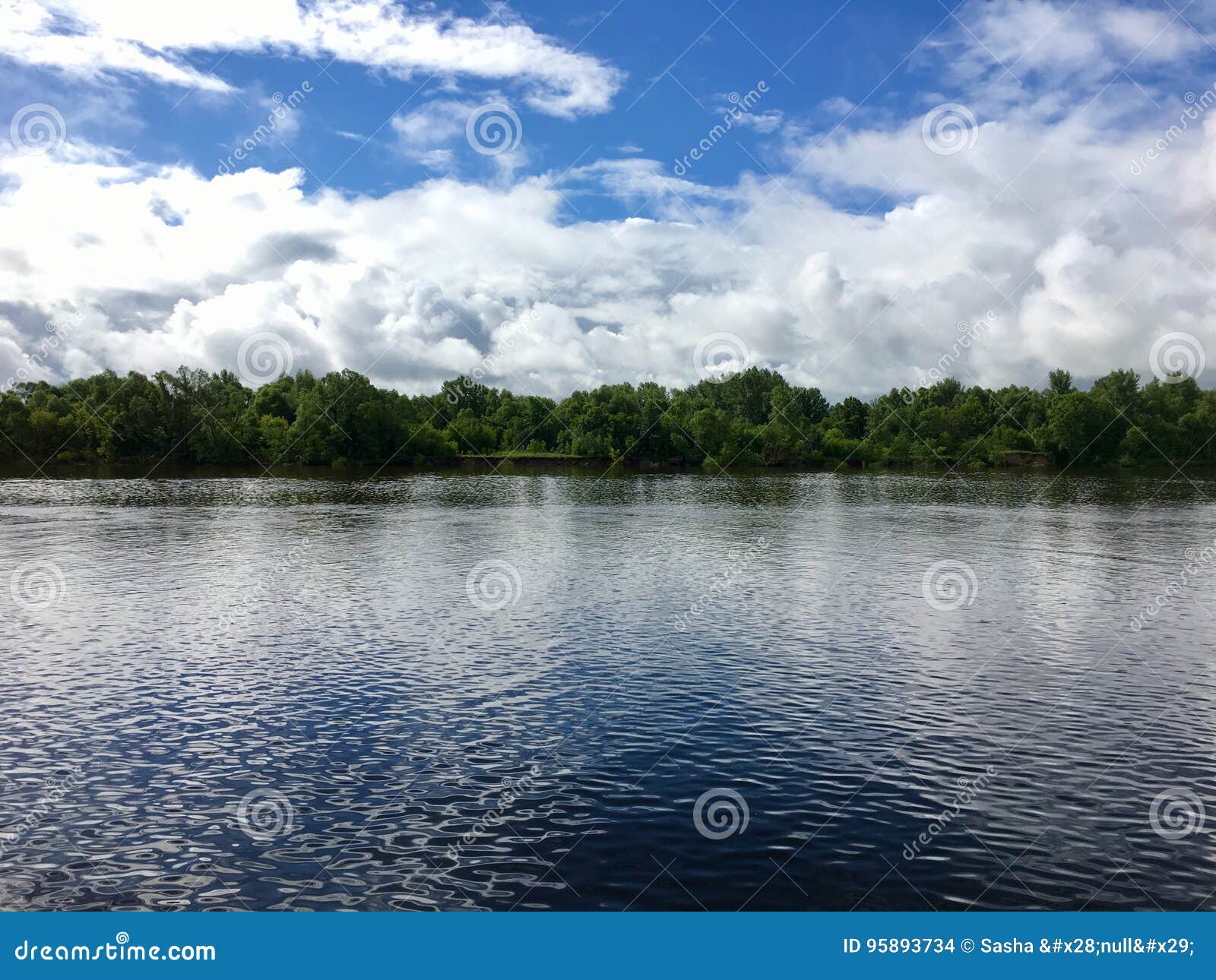 Sea stock photo. Image of inlet, river, water, swamp - 95893734