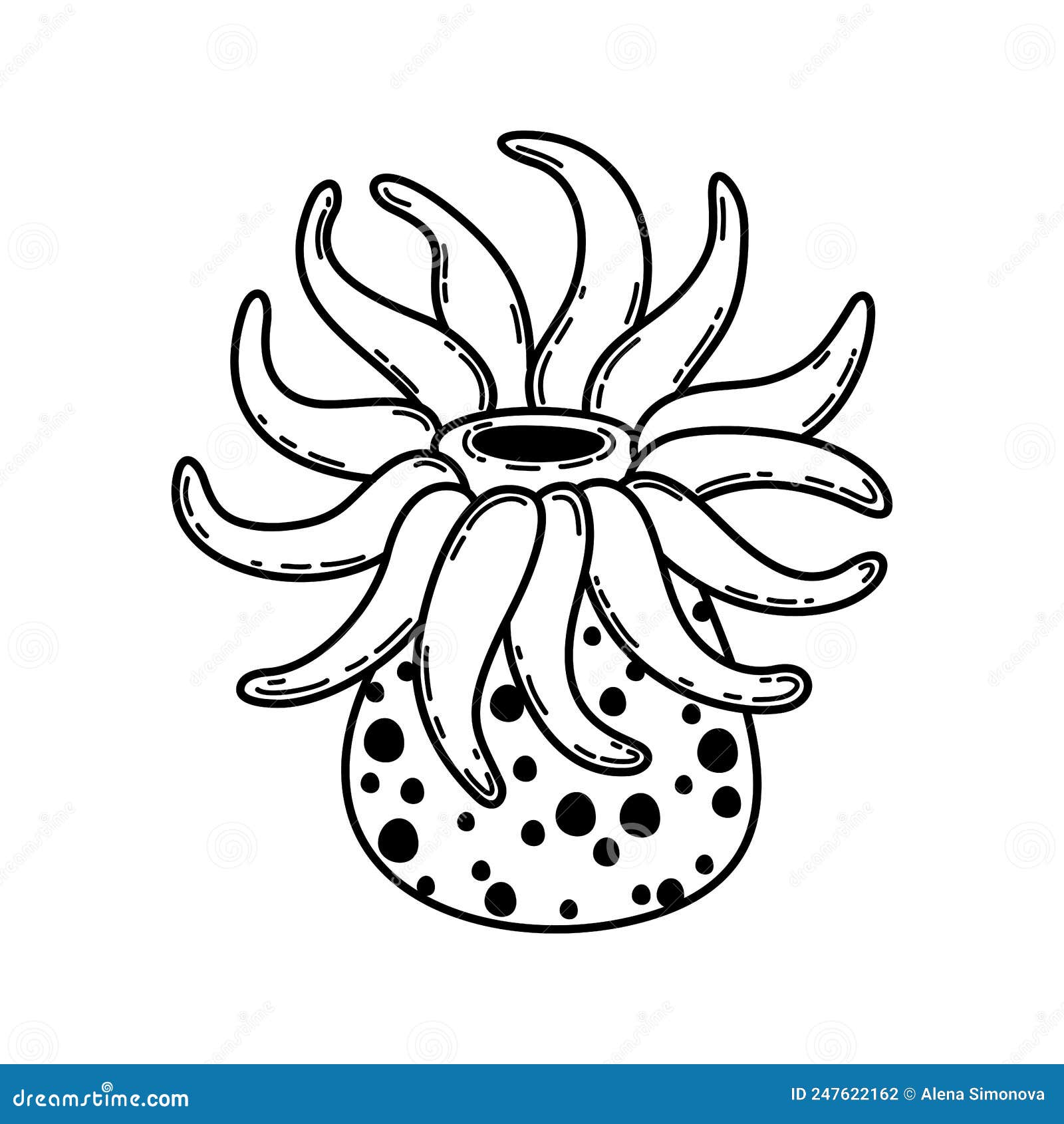 Actinia Silhouette Icons Set. Contour Elements, Cartoon Design. Black ...