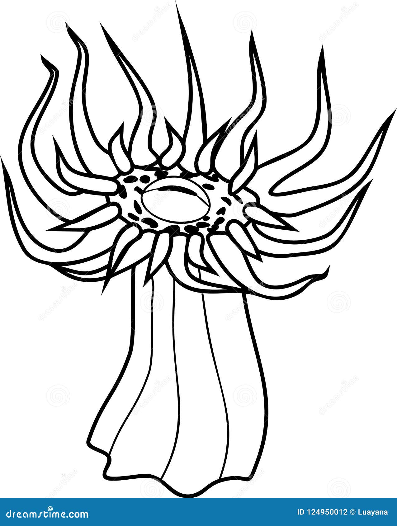 Sea Anemone with Tentacles Coloring Page Stock Vector - Illustration of ...