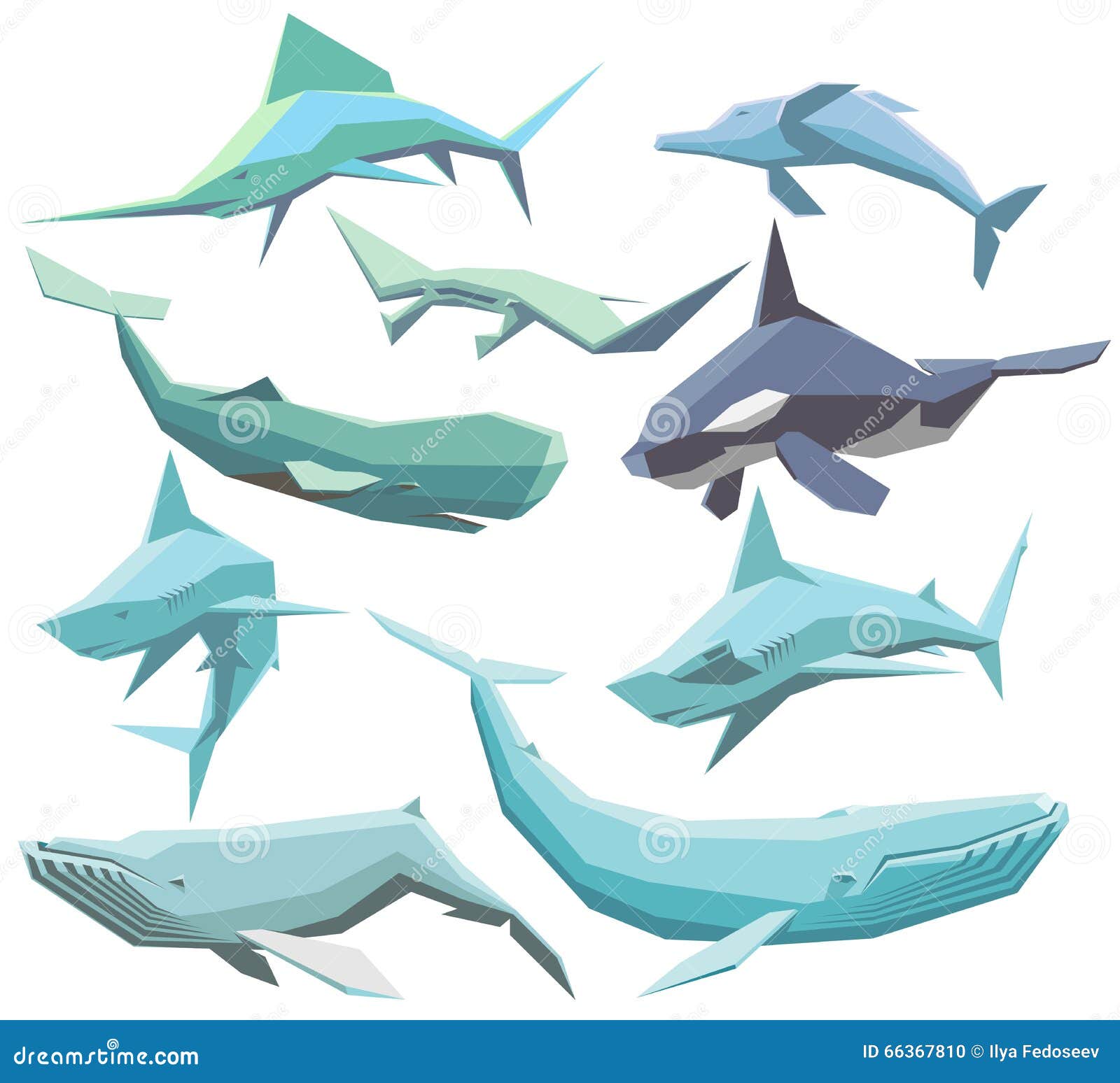 Sea animals collection stock vector. Illustration of abstract - 66367810