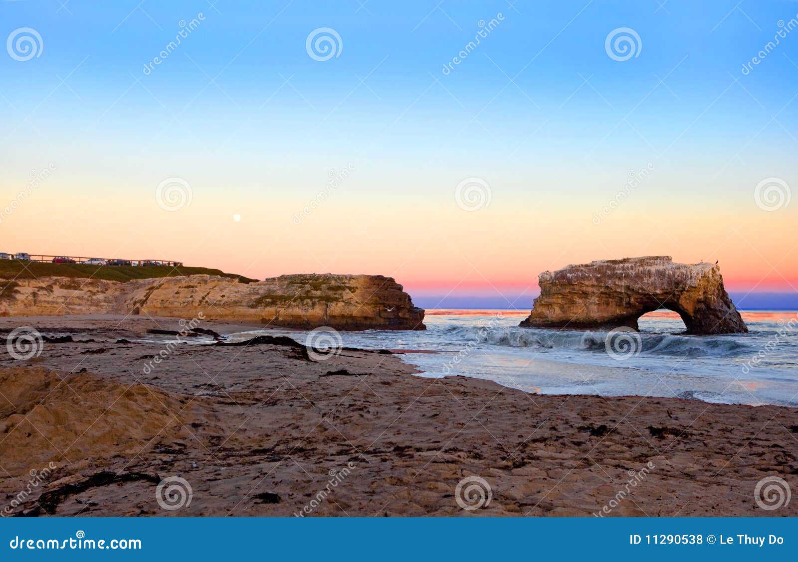 Sea Arch stock photo. Image of leaf, park, colony, pacific - 11290538