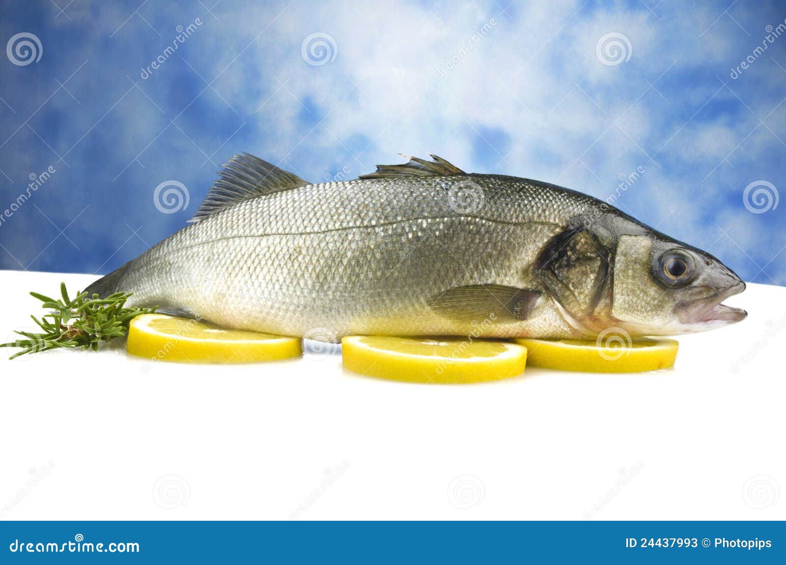 Sea bass stock image. Image of meal, healthy, path, saltwater - 24437993