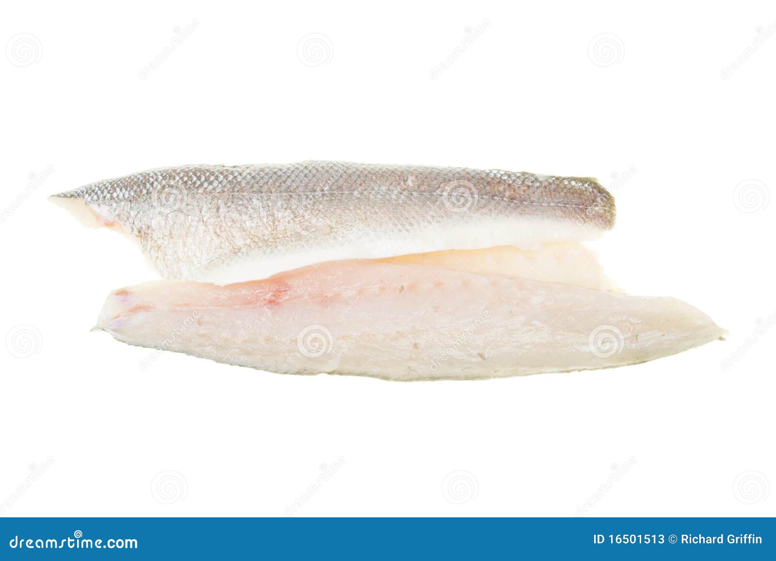 Sea bass fish fillets stock image. Image of fish, fresh - 16501513