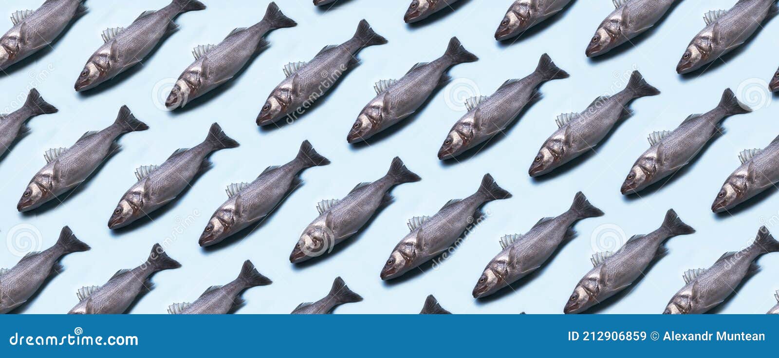 Sea bass fish pattern stock image. Image of european - 212906859